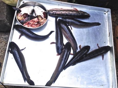 Cambodian fish amok recipe - Nomadic Boys