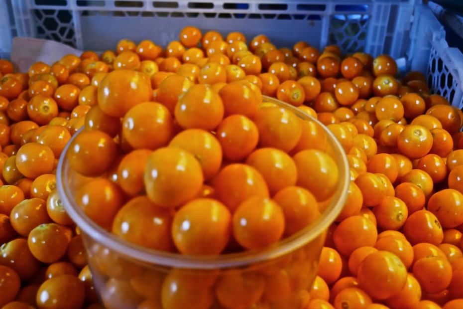 10 traditional foods in Ecuador you simply have to try - Nomadic Boys